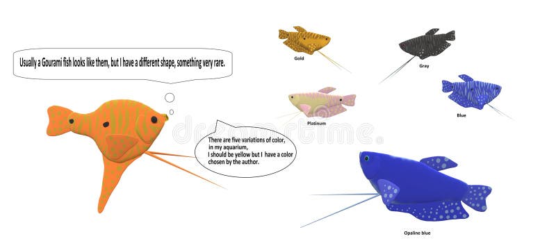 Gourami Fish, Colouring Book Page Colored Stock Image - Image of babies ...