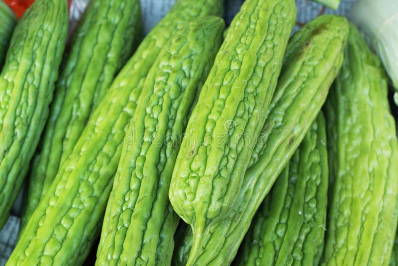 Gourd, Fresh Vegetables on the Market. Stock Photo - Image of nutrition ...