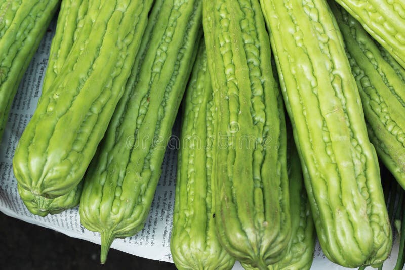 Gourd, Fresh Vegetables on the Market. Stock Photo - Image of organic ...