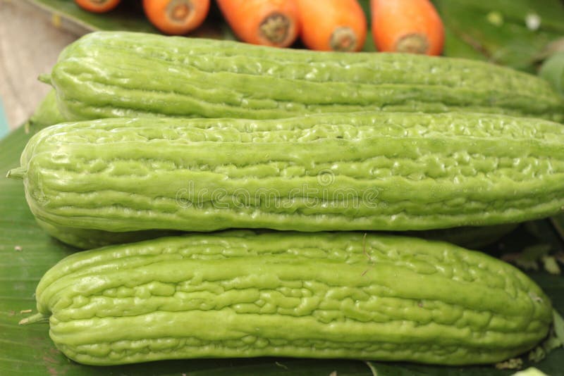 Gourd, Fresh Vegetables at the Market. Stock Photo - Image of edible ...