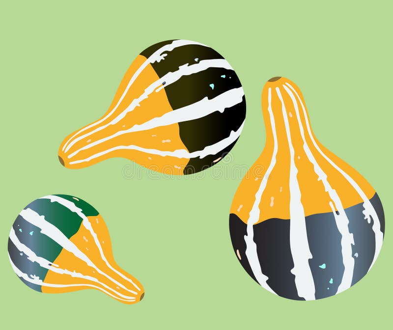 Gourd illustrations stock illustration. Illustration of bright - 16449747