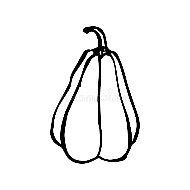 Gourd Line Drawing in Rustic Hand-Drawn Black and White Style with Copy ...