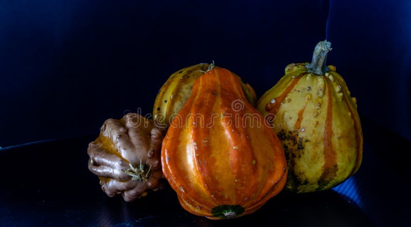 Gourds on a Black Background. Calgary Alberta Canada Stock Photo ...