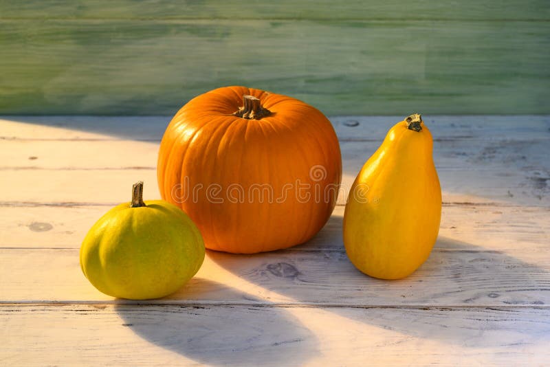 Three Gourds Green Yellow and Orange Stock Image - Image of sized ...