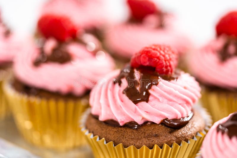 Chocolate Raspberry Cupcakes Stock Image - Image of raspberry, frosting ...
