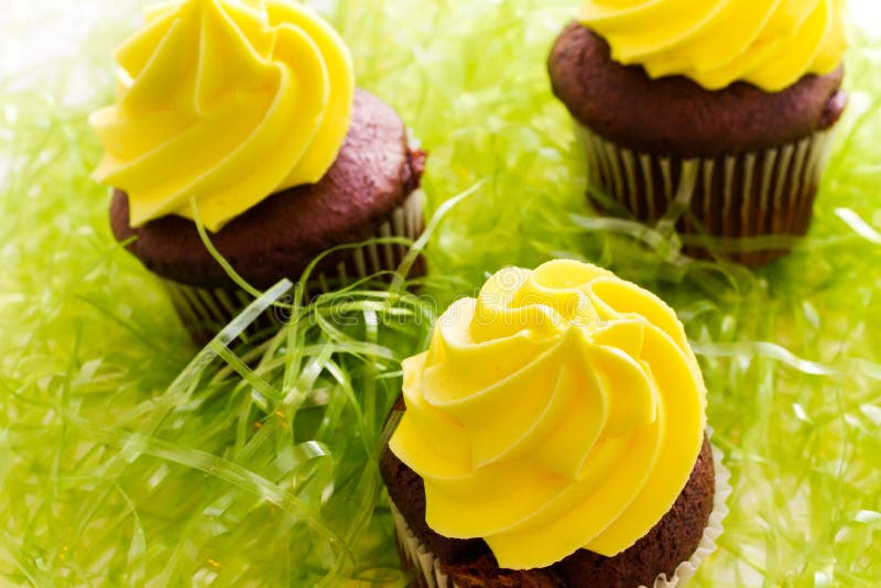 Gourmet cupcakes stock image. Image of icing, green - 286956043