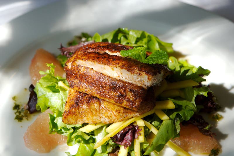 Gourmet Fish Fillet with Risotto on White Plate Stock Photo - Image of ...