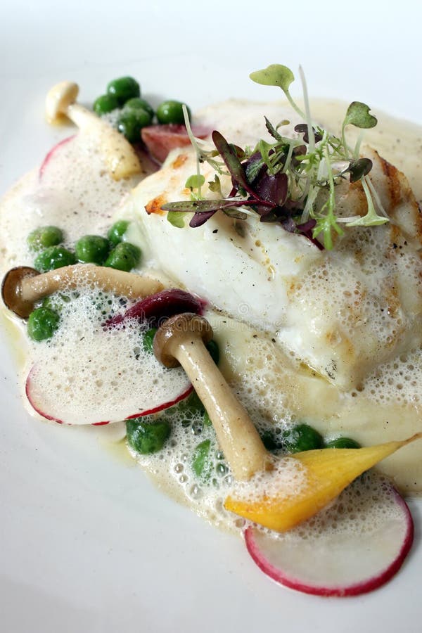 Gourmet Fish Dish stock photo. Image of greens, seafood - 22247494