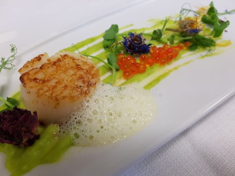 Gourmet handmade food stock image. Image of forest, cloud - 147645327