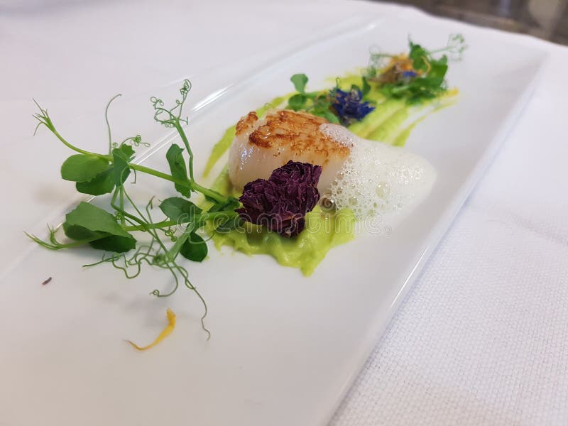 Gourmet handmade food stock photo. Image of beautiful - 147645340