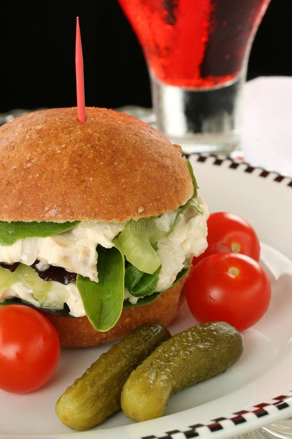Gourmet lunch stock photo. Image of ingredients, lunch - 14088388