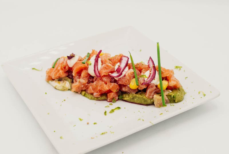 Gourmet Plate of Salmon and Red Onion Ceviche Stock Photo - Image of ...
