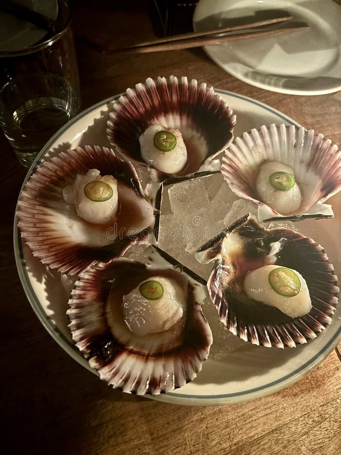 Gourmet Scallops in Shells with Jalapeño Garnish Stock Image - Image of ...