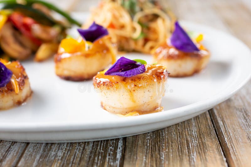 Gourmet scallops stock image. Image of dining, fine - 276723417