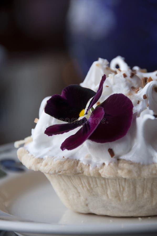 334,805 Pie Gourmet Stock Photos - Free & Royalty-Free Stock Photos ...