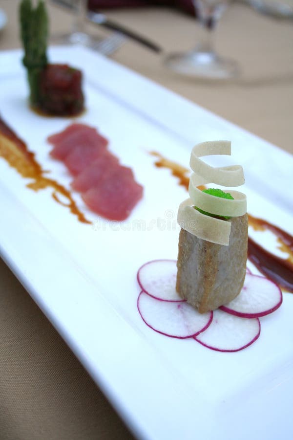 Gourmet Tuna Plate stock photo. Image of sauce, radish - 1869950