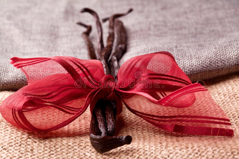 Gourmet vanilla bean stock photo. Image of string, organic - 33496012