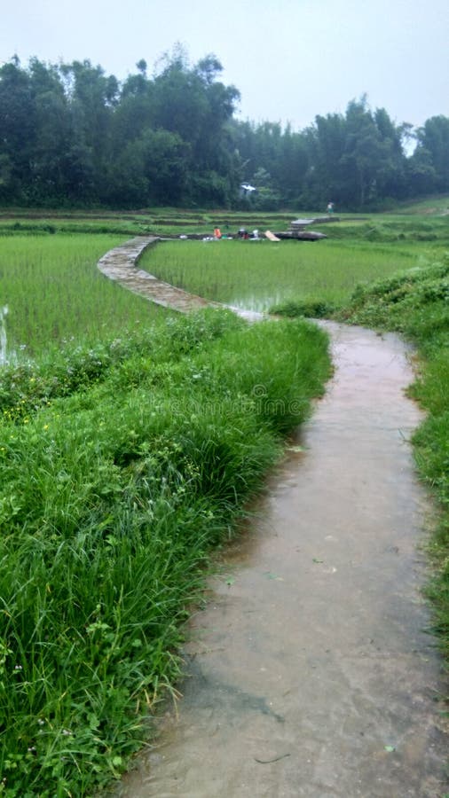 Footh path stock photo. Image of prove, govt, path, footh - 122053132