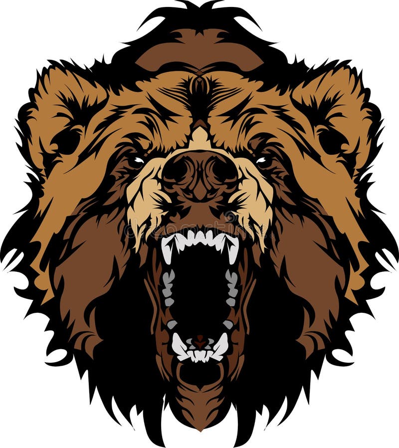 Cabeça do urso do urso ilustração do vetor. Ilustração de américa ...