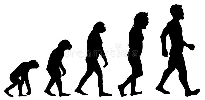 Etapas De La Evolución Humana Proceso Evolutivo Y Visualización Gradual ...