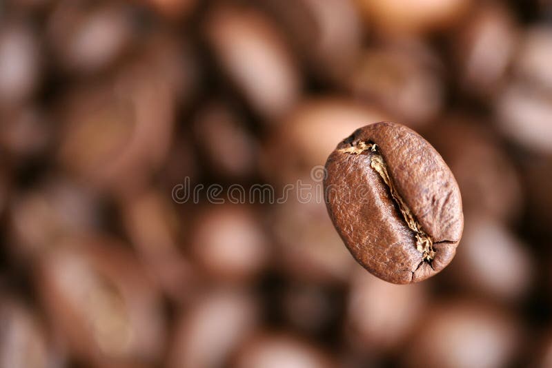 Pulso De Disparo Do Grão De Café E Do Café Foto de Stock - Imagem de ...