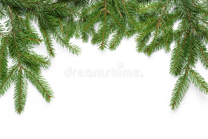 Sammansättning Från Granris Med Skugga Fotografering för Bildbyråer ...