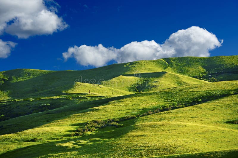 Gröna kullar arkivfoto. Bild av organiskt, montana, landskap - 27876850