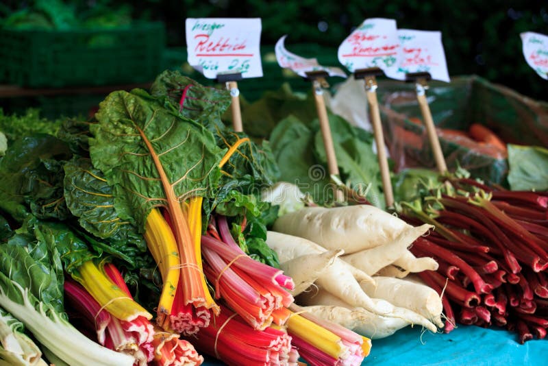 Maria Feklistova (Mariafeklistova) - Photos