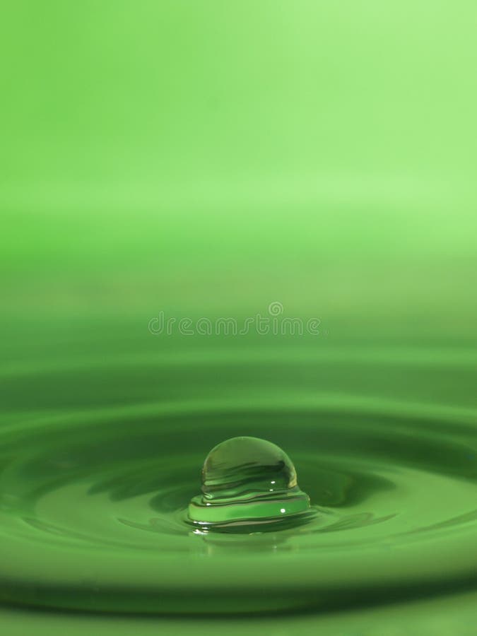 Droppe av vatten i green arkivfoto. Bild av horisontal - 40854594