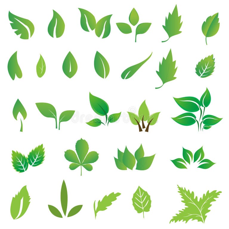 Grüne Blätter vektor abbildung. Illustration von zeichen - 33771842