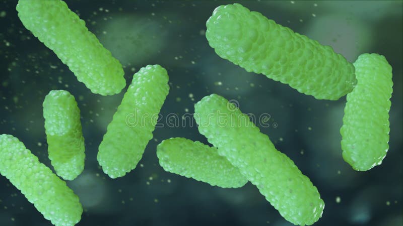 Bazillus Bakterium Stockfotos und Bilder - Laden Sie 779 lizenzfreie ...