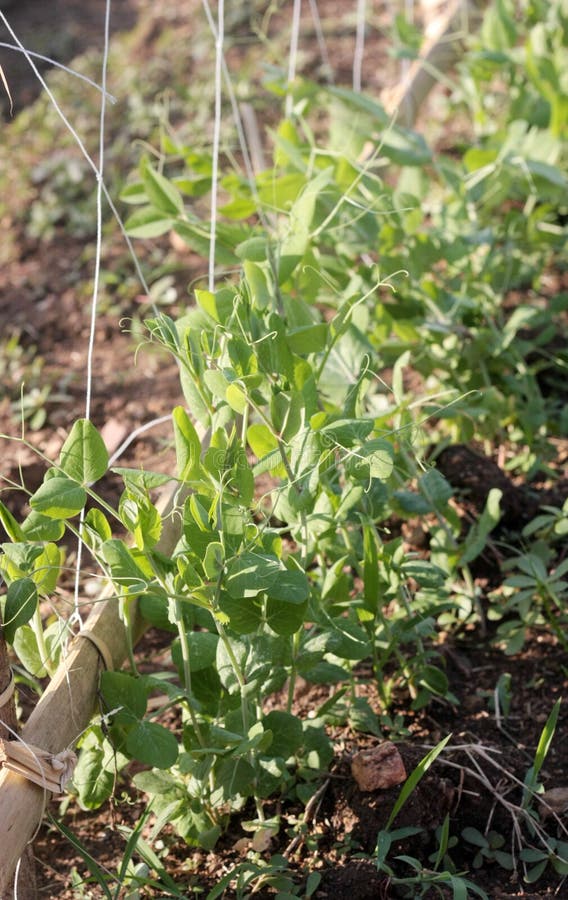 {Nummer} {Stichwort} Stock Fotos - Freie & Royalty-Free Stock Fotos von ...