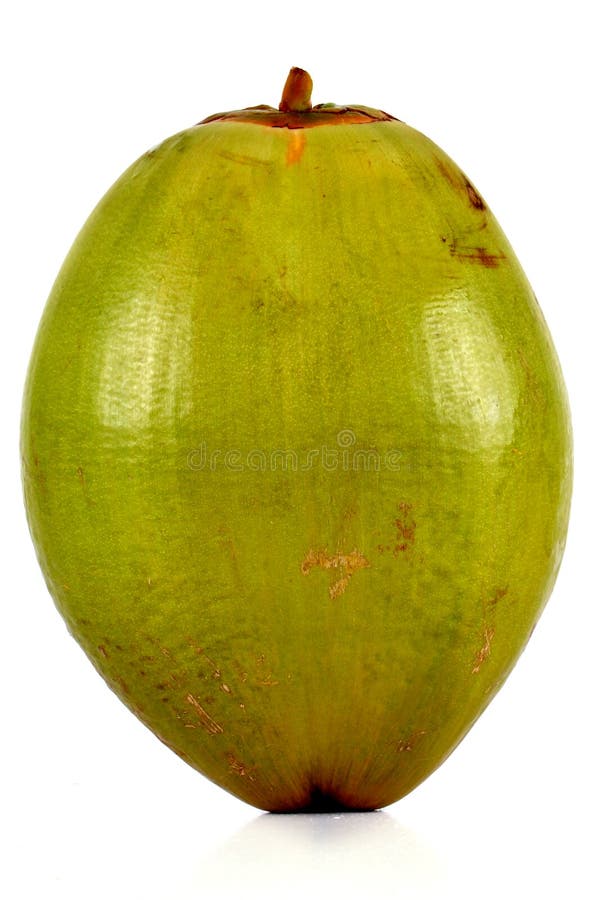 Grüne Kokosnuss stockbild. Bild von reise, hart, frucht - 25468723