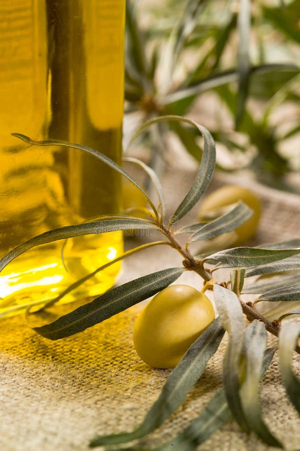 Grüne Olive Lokalisiert Auf Weiß Stockfoto - Bild von getreide, italien ...