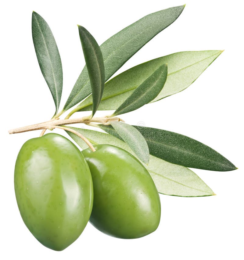 Grüne Oliven Mit Blättern Auf Einem Weißen Hintergrund Stockbild - Bild ...