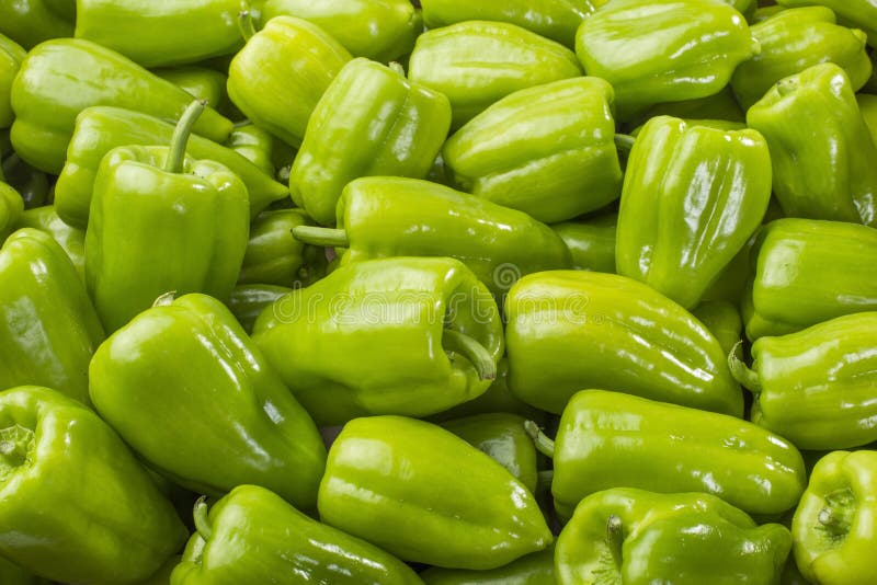 Grüner grüner Pfeffer stockfoto. Bild von petersilie - 28920278