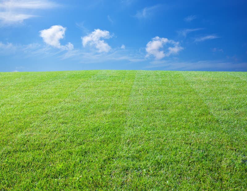 Breiter Rasen im Park stockfoto. Bild von nave, draussen - 69548830