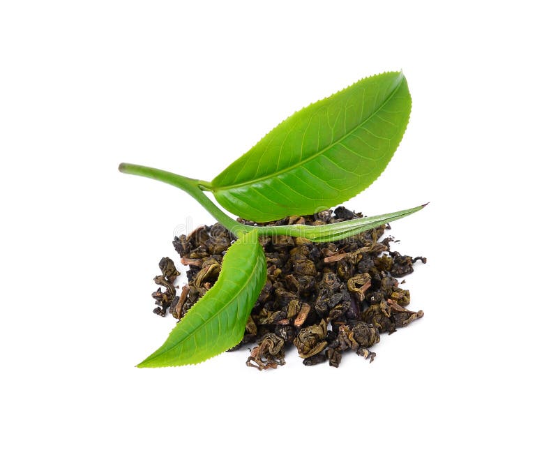 Teeblatt stockfoto. Bild von sommer, platz, nahaufnahme - 48444190