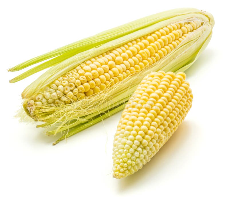 Graan stock foto. Image of half, zijde, verbleek, geïsoleerd - 102746940