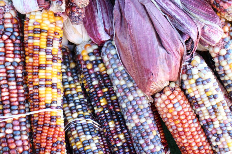 Graan stock afbeelding. Image of kleurrijk, droog, textuur - 108186013