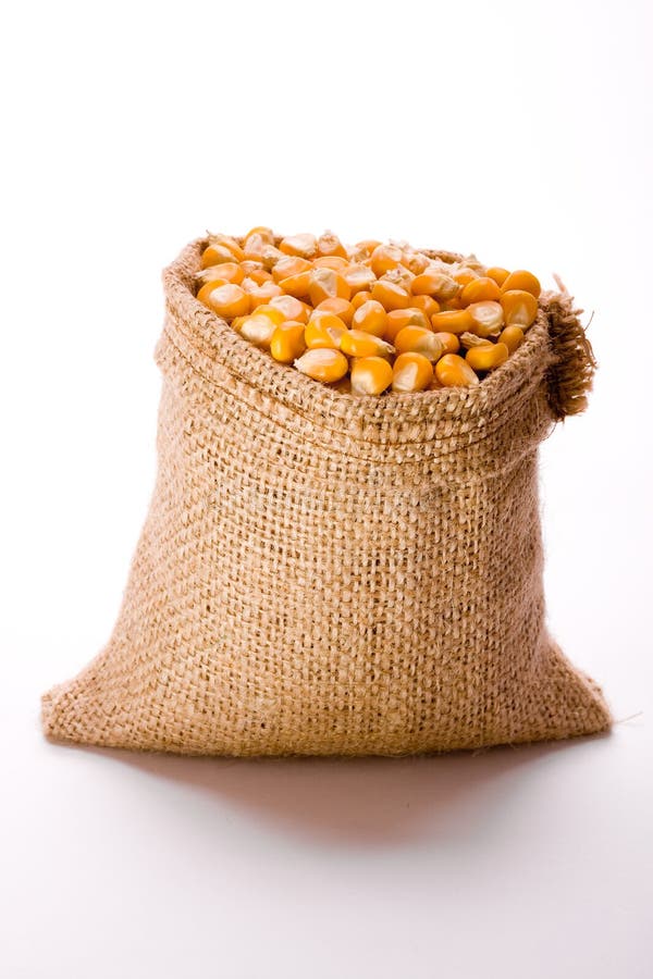 Graan stock foto. Image of landelijk, voedsel, binnenlands - 4351846