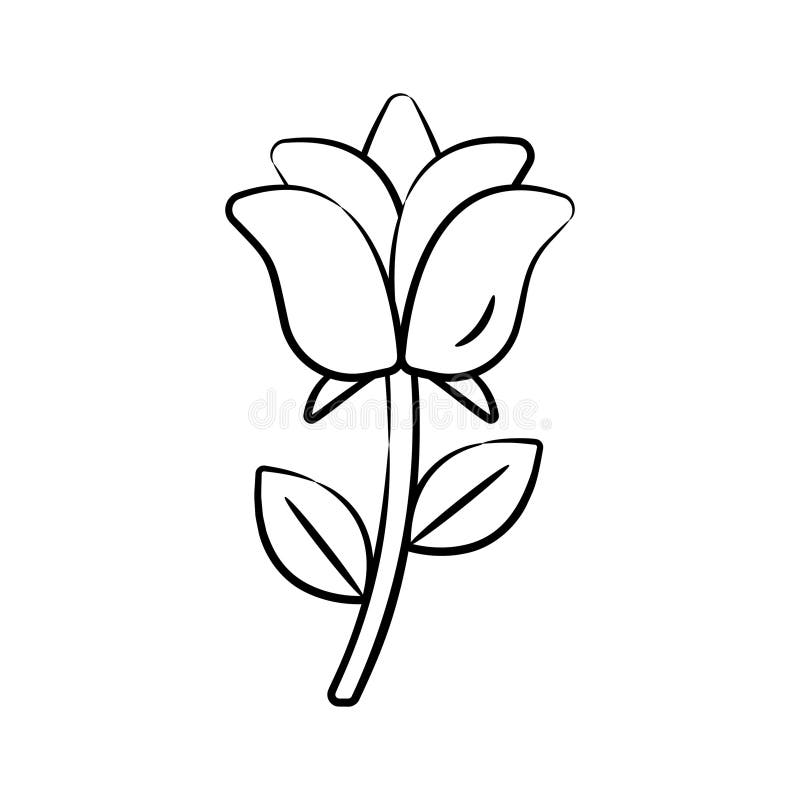 Grab this Hand Drawn Icon of Blooming Rosebud Stock Vector ...