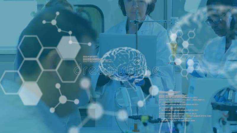 Upon Grabbing Micropipette, Lab Team Dispensing Solution into Rack for ...