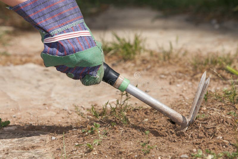 Graben Sie ein Loch stockbild. Bild von hilfsmittel, draussen - 25215367