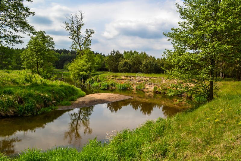 A Small River Waving among Them Stock Photo - Image of lake, swamp ...