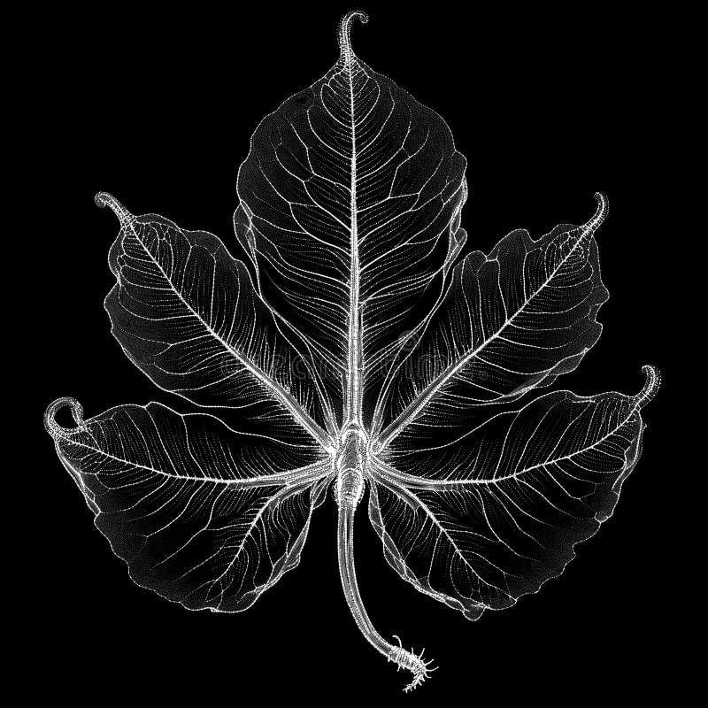 The Grace of life points stock illustration. Illustration of form ...