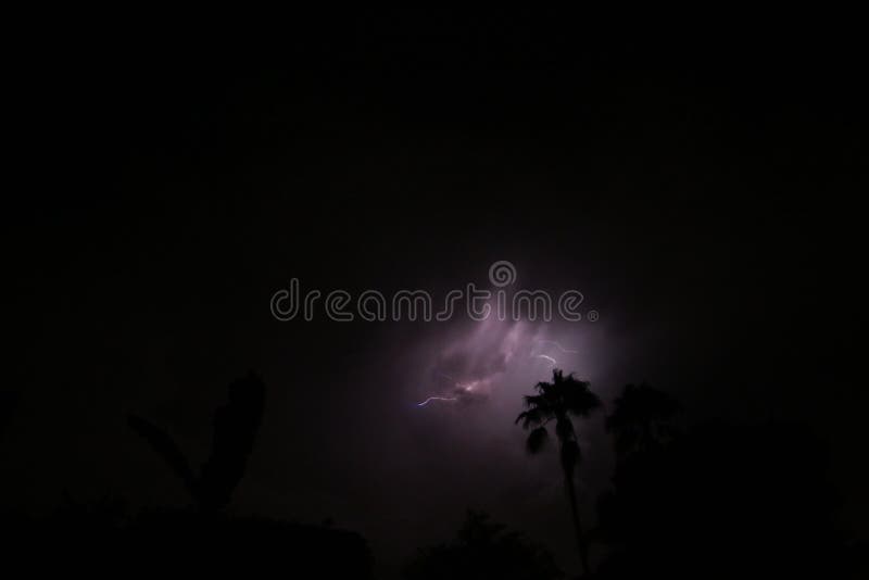 Grace stock image. Image of tree, lightning, cloud, grace - 56616703