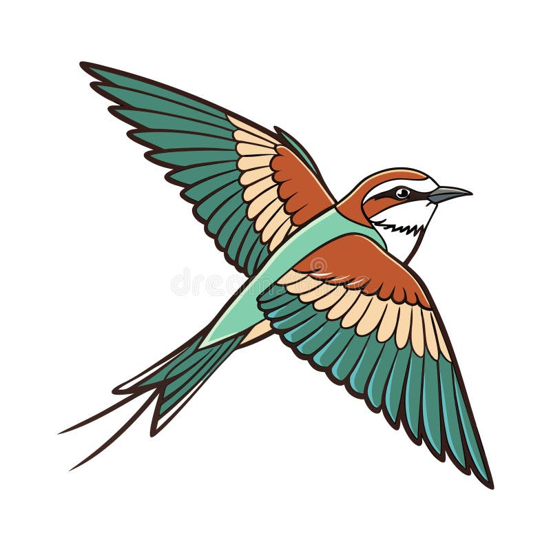 Graceful Alpine Swift Bird Artwork Stock Illustration - Illustration of ...