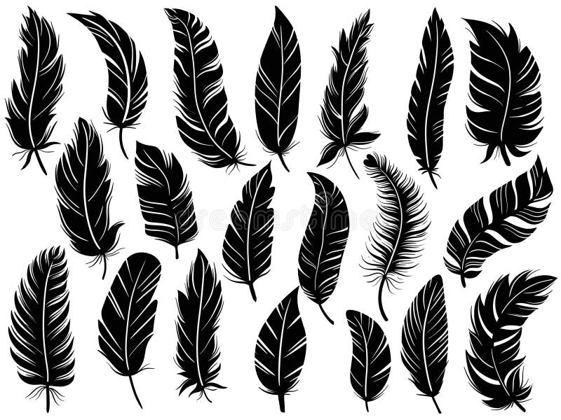 Graceful Bird Feathers Black Silhouette Set Stock Illustration ...