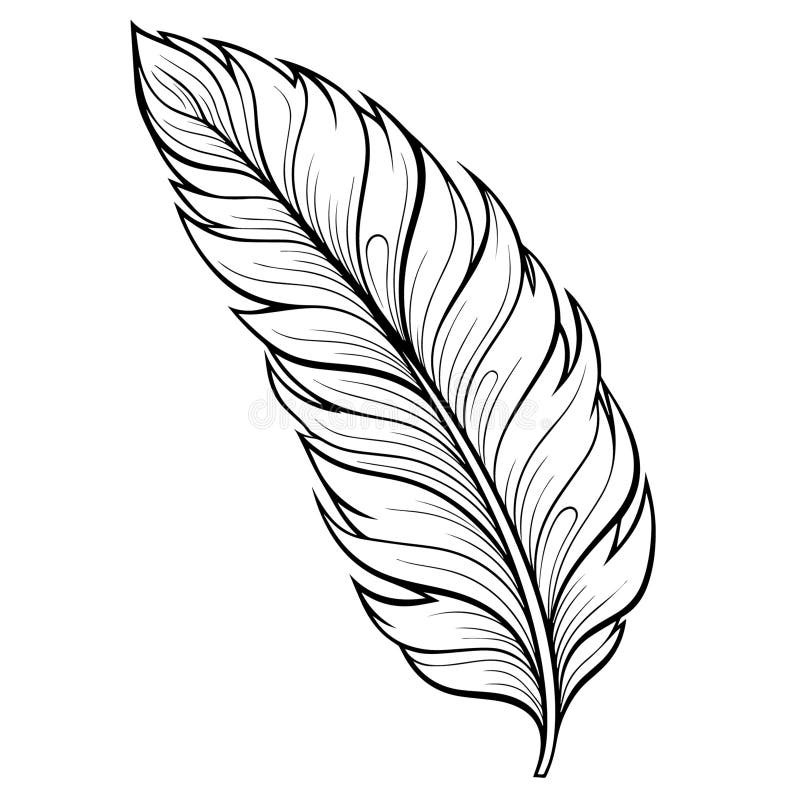 Graceful Feather Outline Icon in Vector Format for Elegant Designs ...